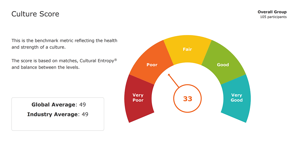 Culture values assessment | Valuerize